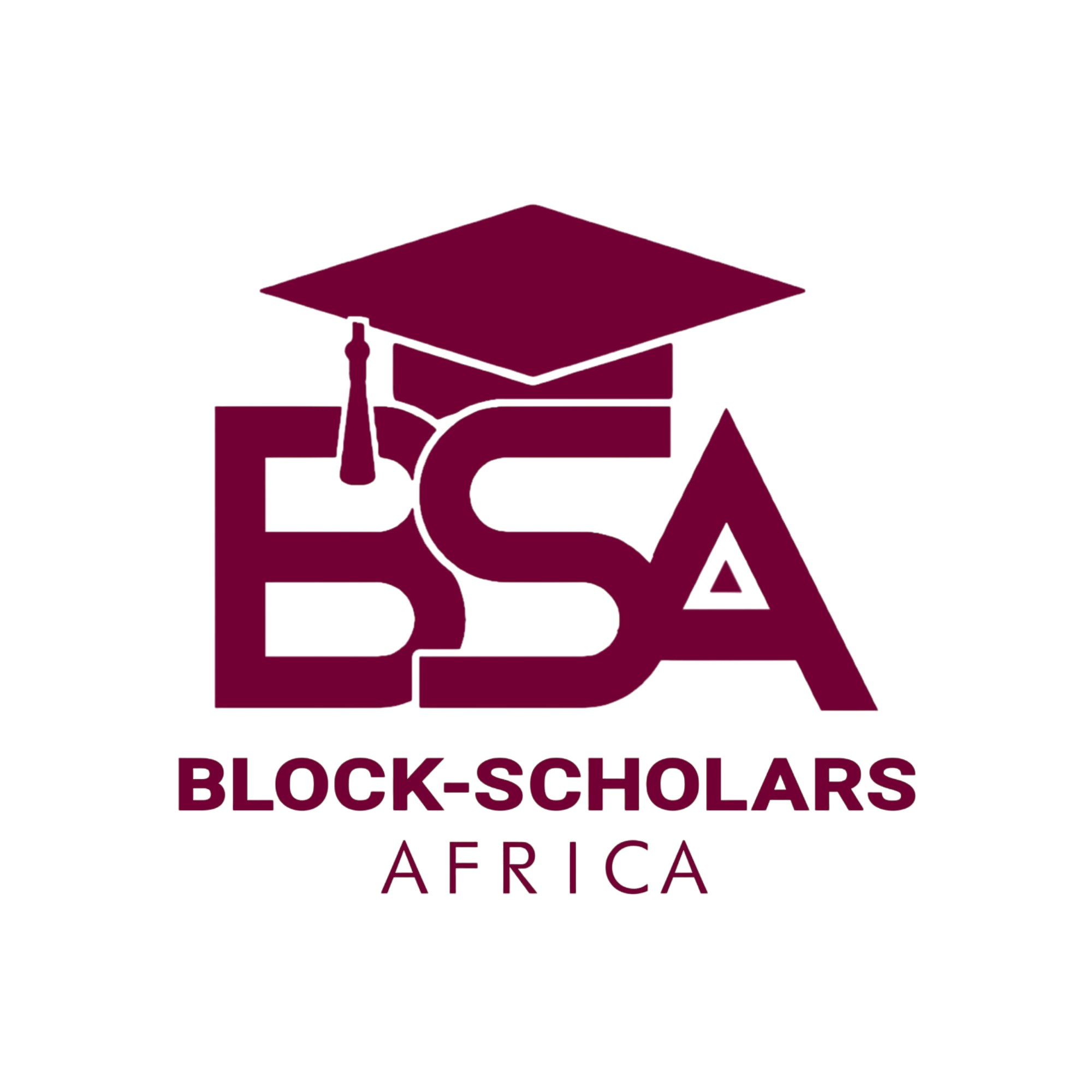 Block-Scholars Africa